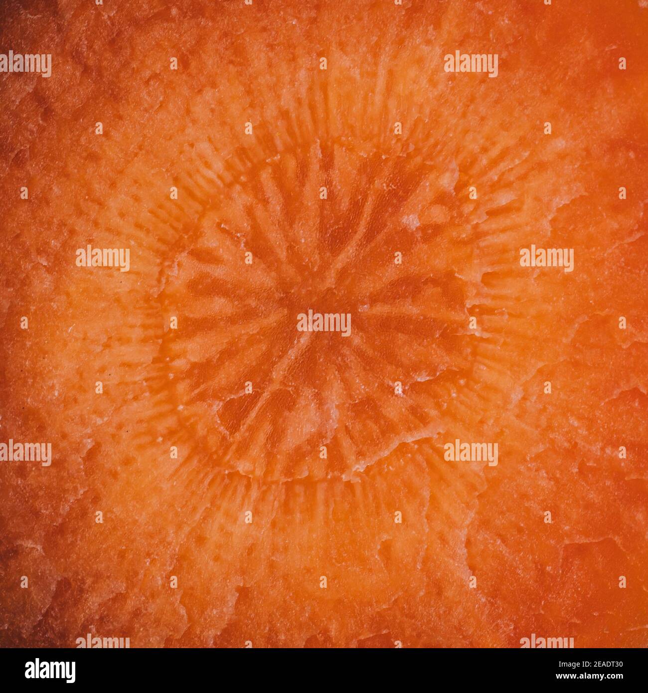Carrot slice texture hi-res stock photography and images - Alamy