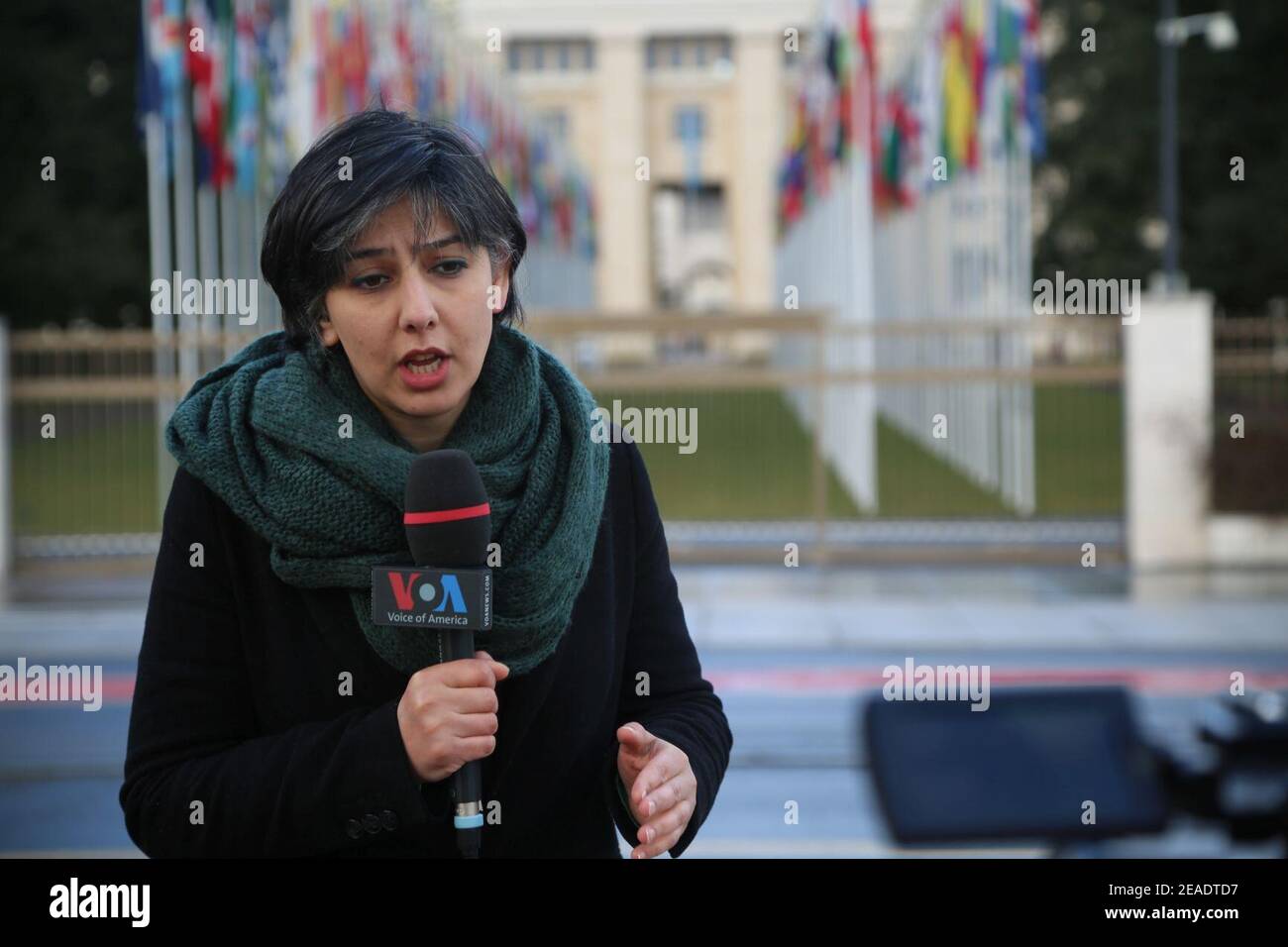 Niloofar hi-res stock photography and images - Alamy