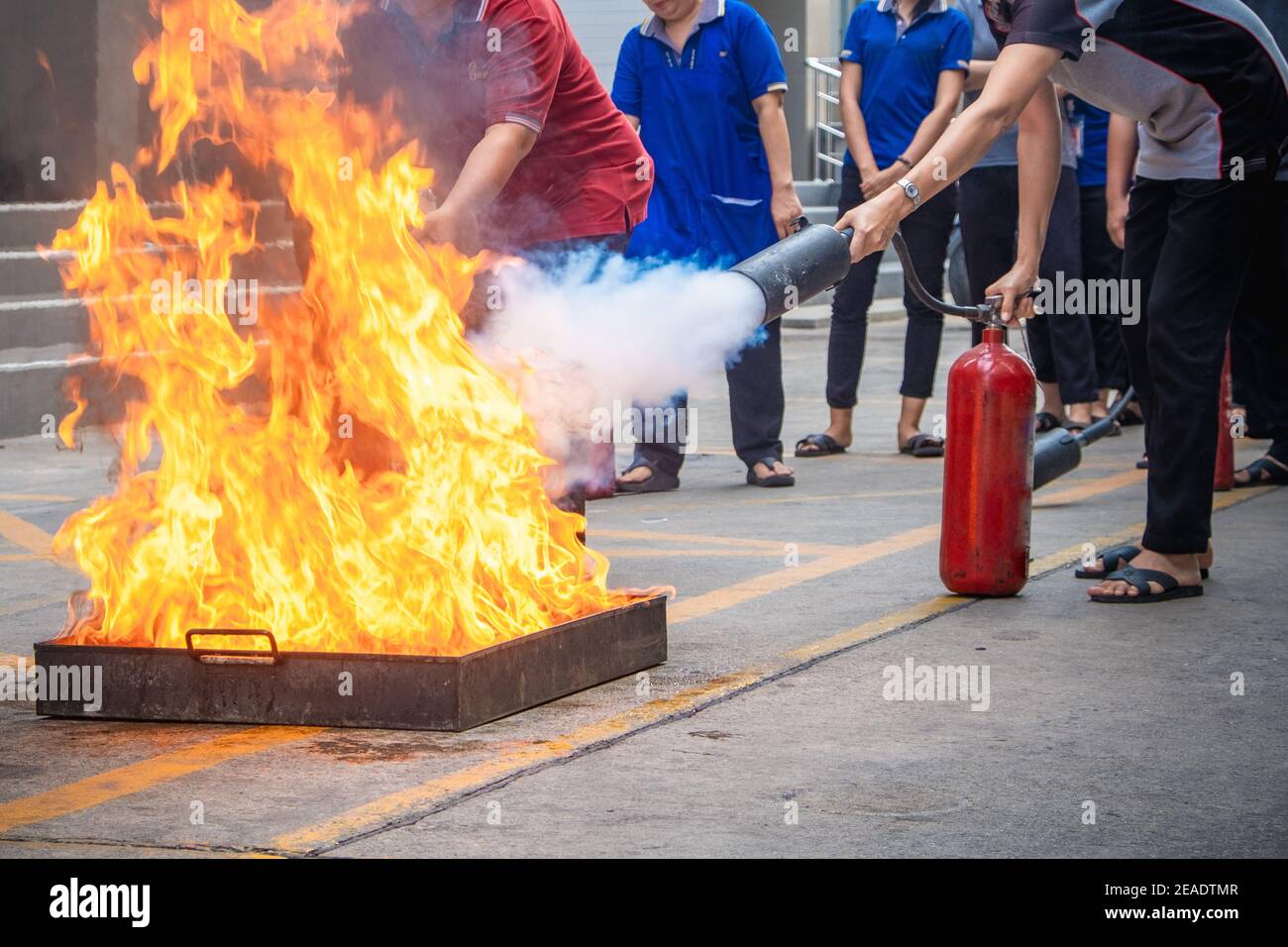 Employees firefighting training,Extinguish a fire Stock Photo - Alamy