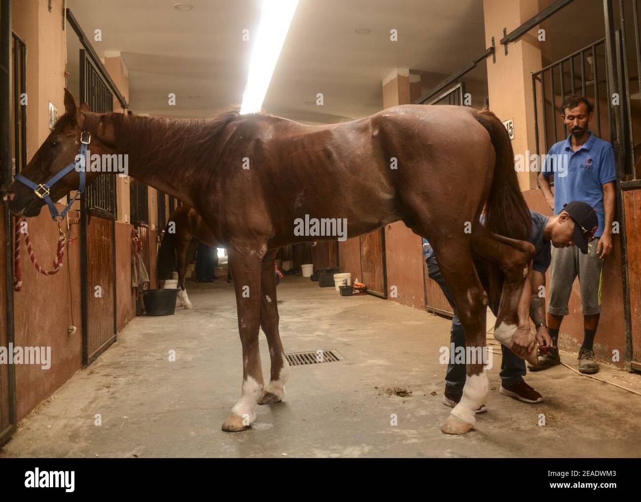 Nimitz Conducts COMREL 170827 Stock Photo - Alamy