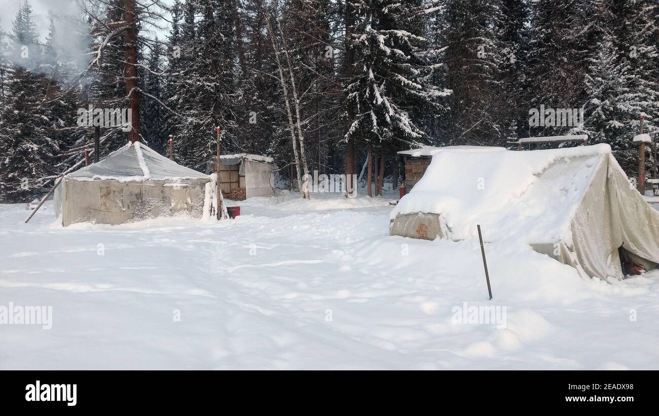 Geological field camp in the winter in the forest. Old tents, abandoned ...
