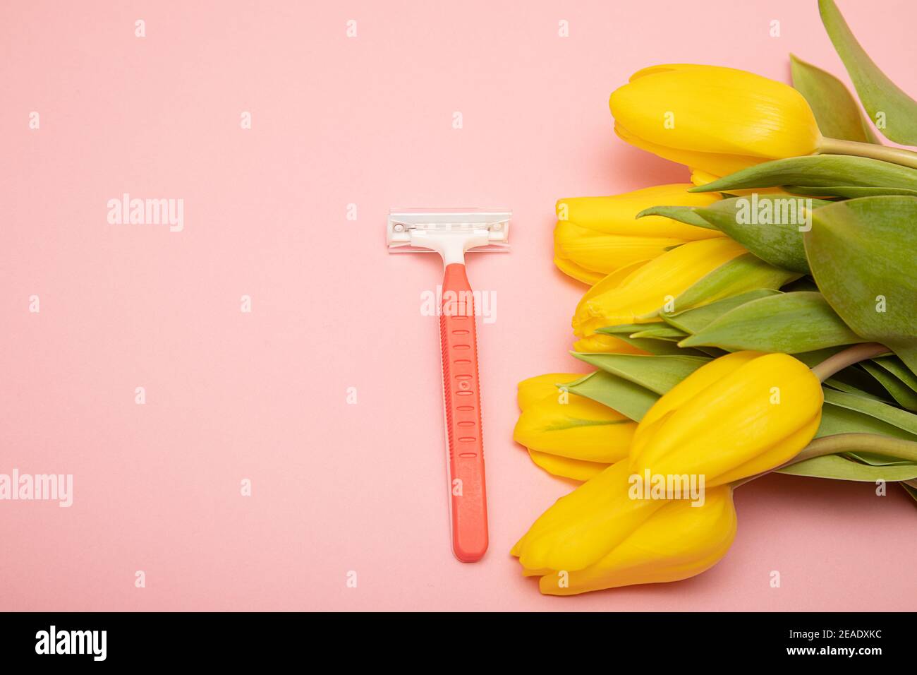 disposable woman shaver and yellow flower tulip heads on soft pink ...