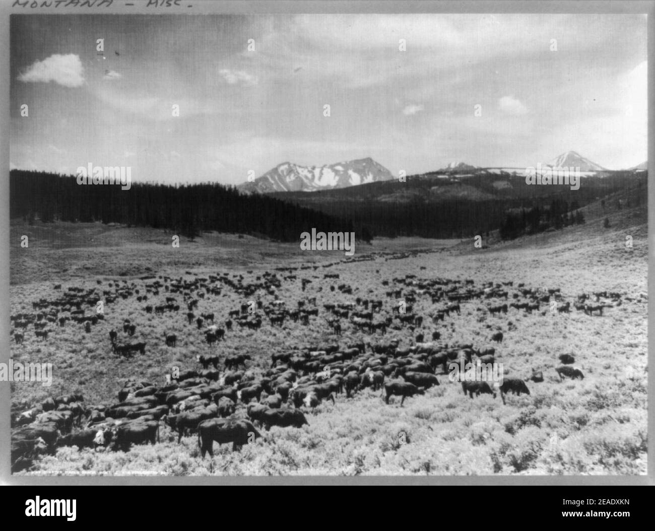 Nine Quarter Circle Ranch, Eldridge, Montana Stock Photo - Alamy