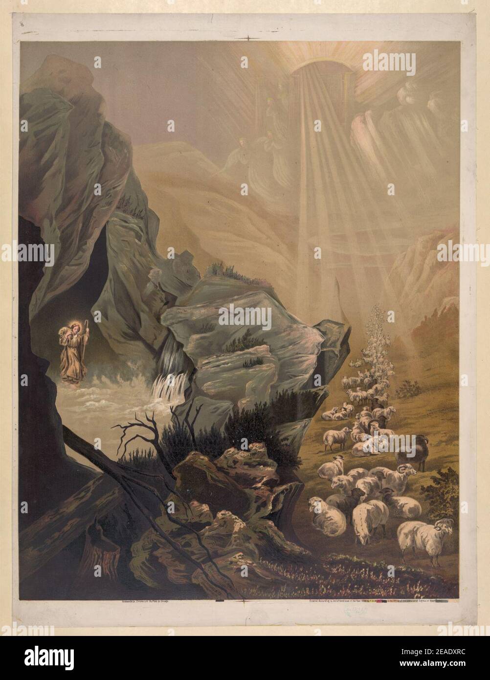 Lost sheep hi-res stock photography and images - Alamy