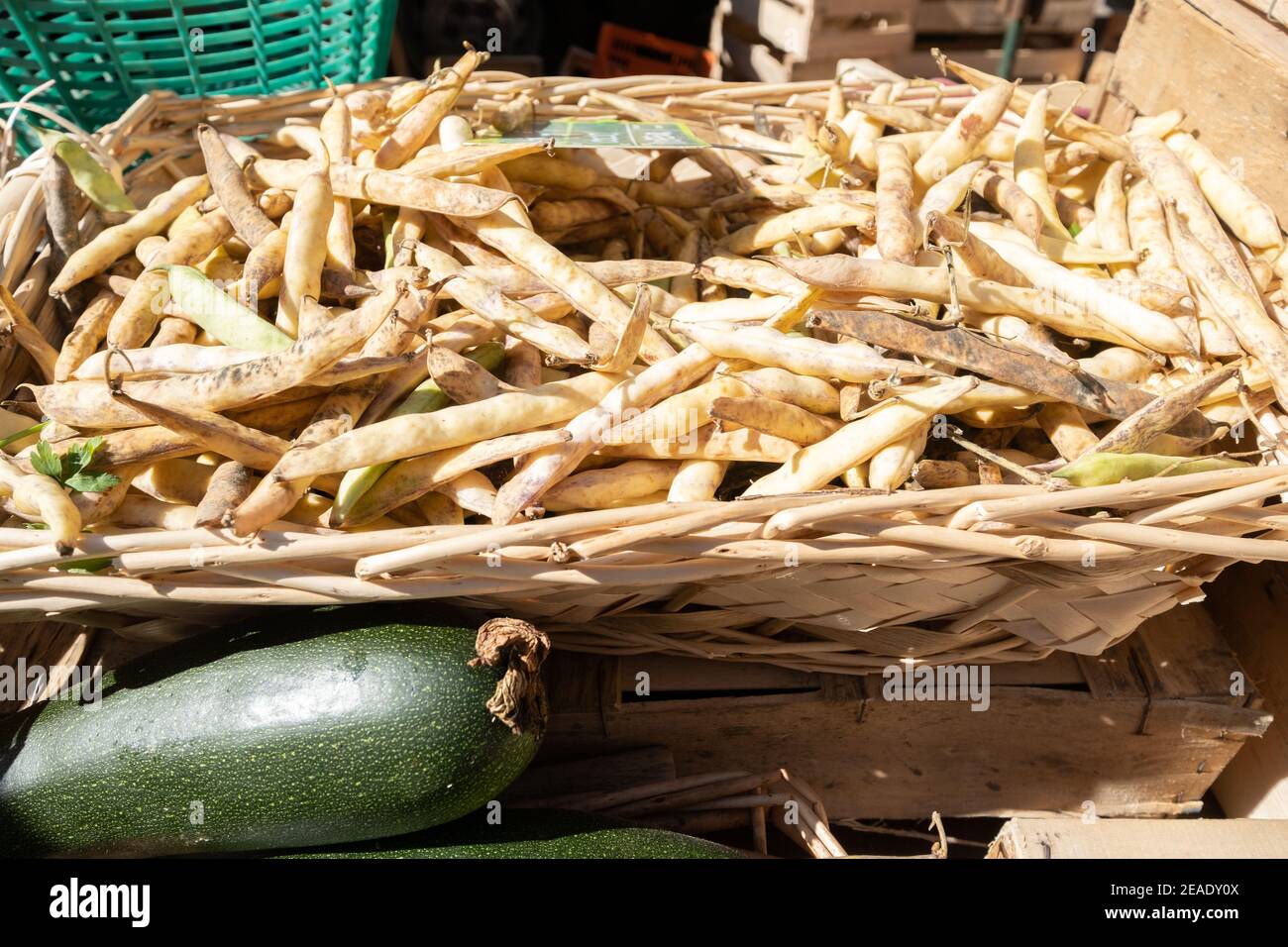 Dried legume pods hi-res stock photography and images - Alamy