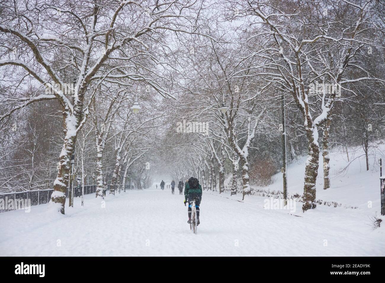 People enjoying winter snow in Kelvingrove Park Glasgow UK. Children on ...