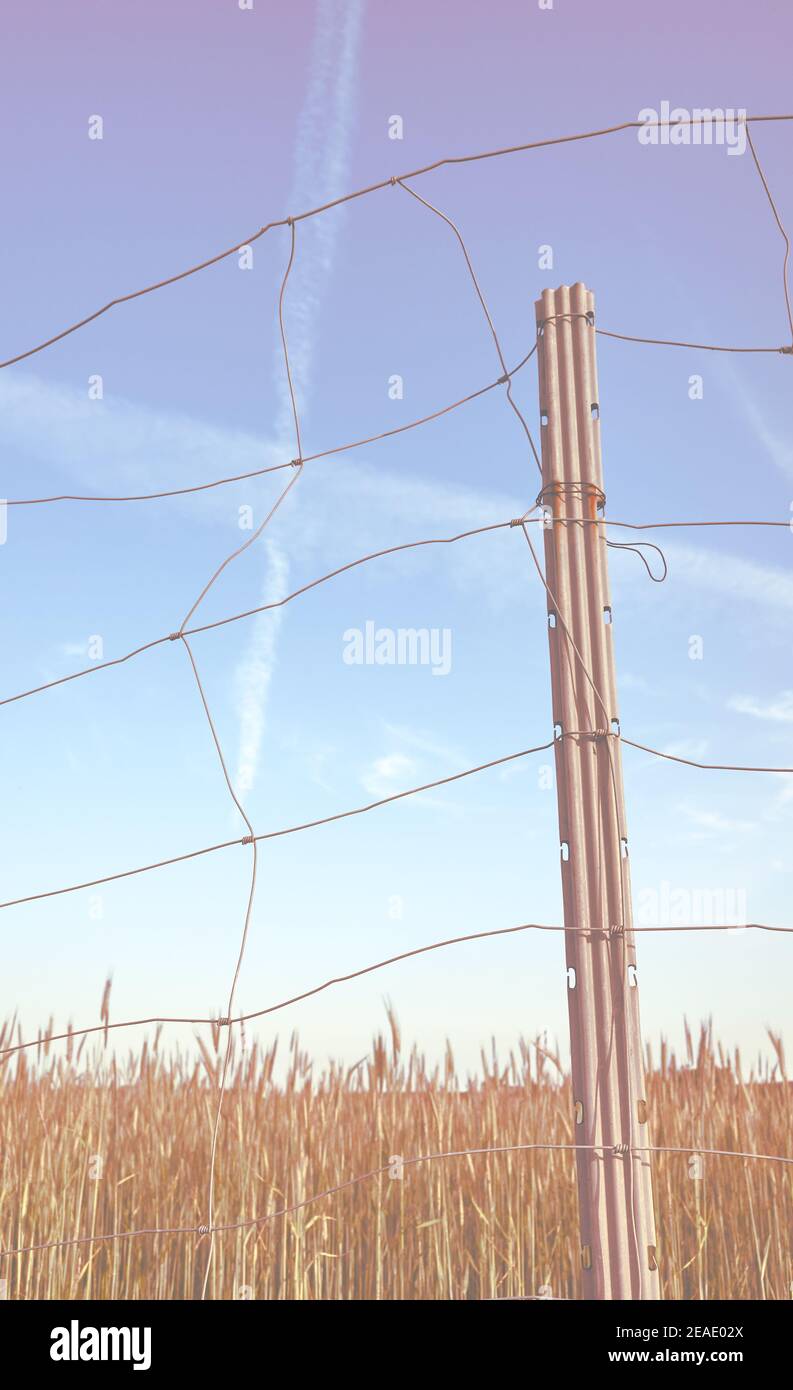 Boundary wire hi-res stock photography and images - Alamy