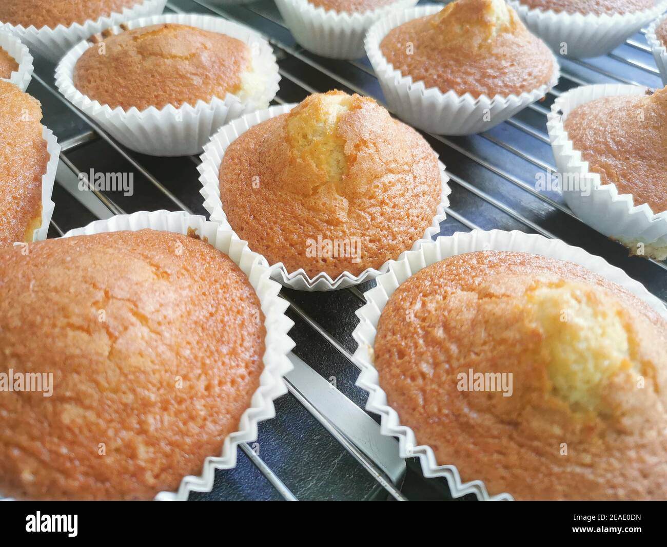 Freshly made homemade muffins for breakfast or snack Stock Photo - Alamy