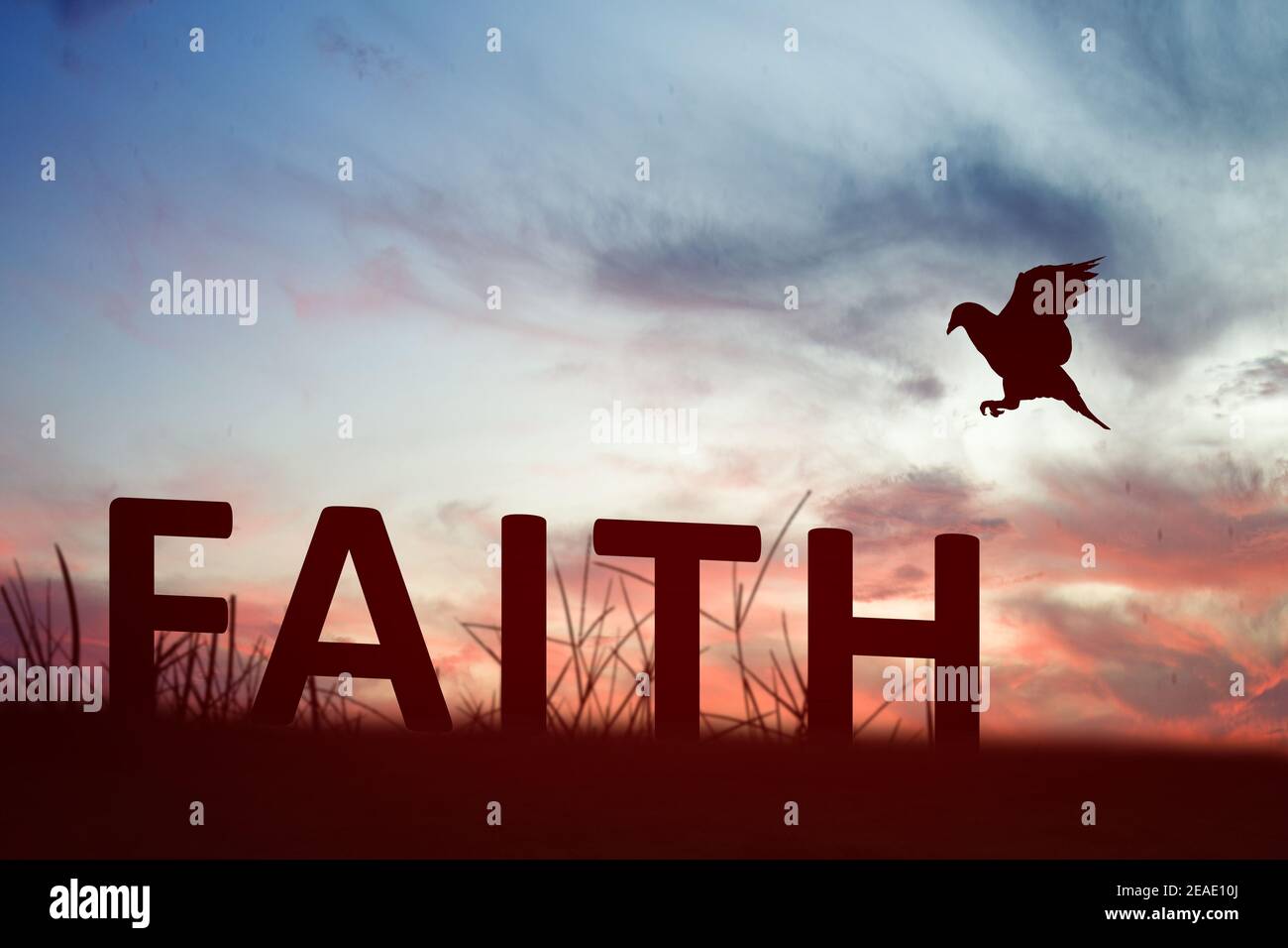 Pigeon flying with faith text on a sunrise sky background Stock Photo ...