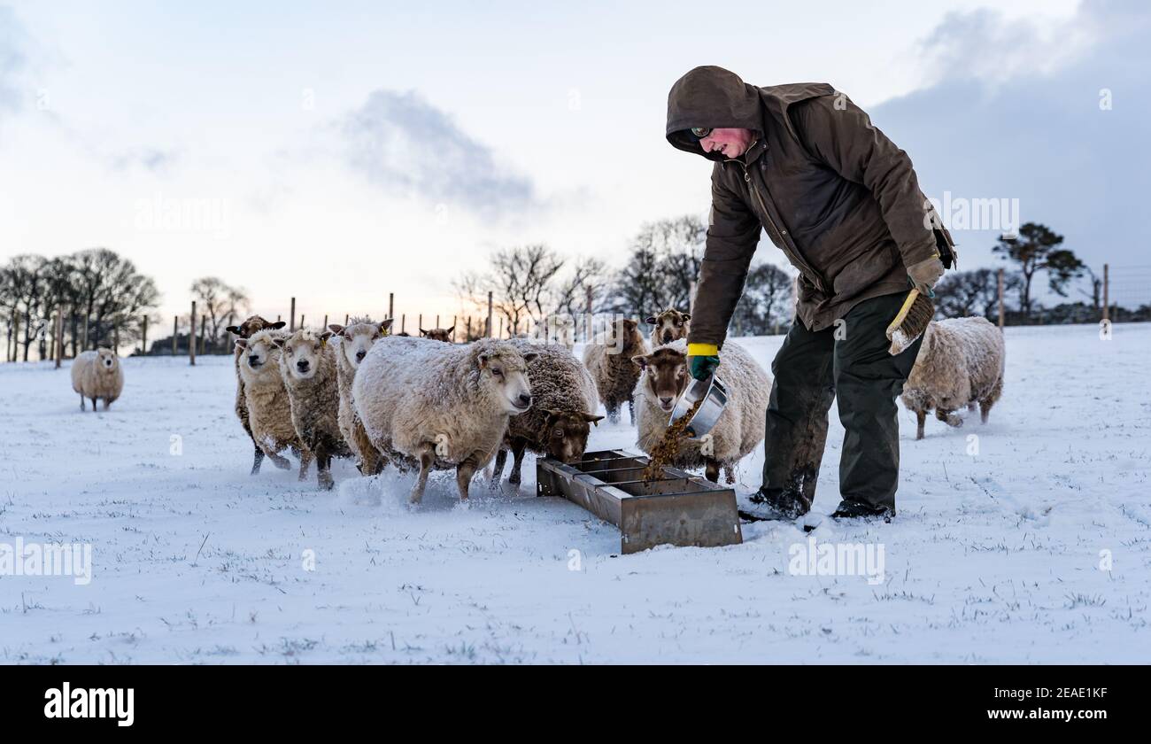 Richard hardy hi-res stock photography and images - Alamy