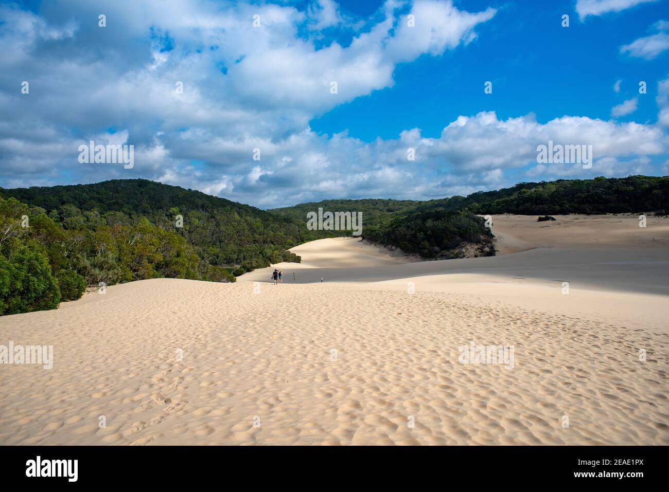 Lake Wabby and The Hammerstone Sandblow on Fraser Island Stock Photo ...