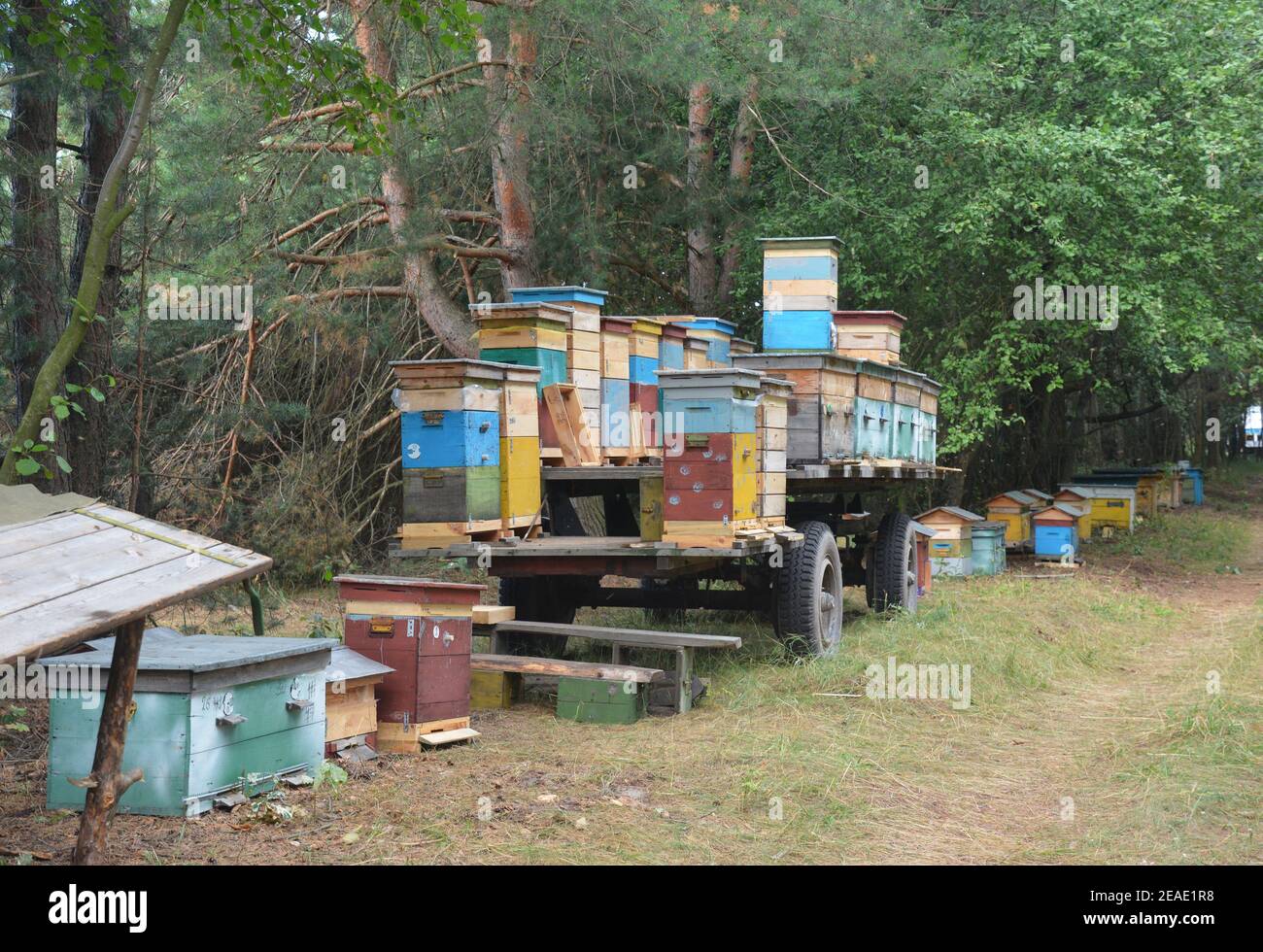 Truck with beehives hi-res stock photography and images - Alamy
