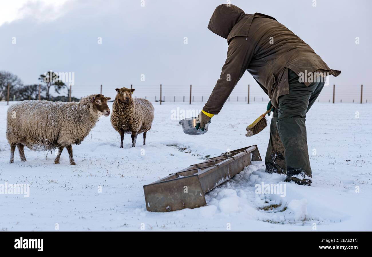Richard hardy hi-res stock photography and images - Alamy