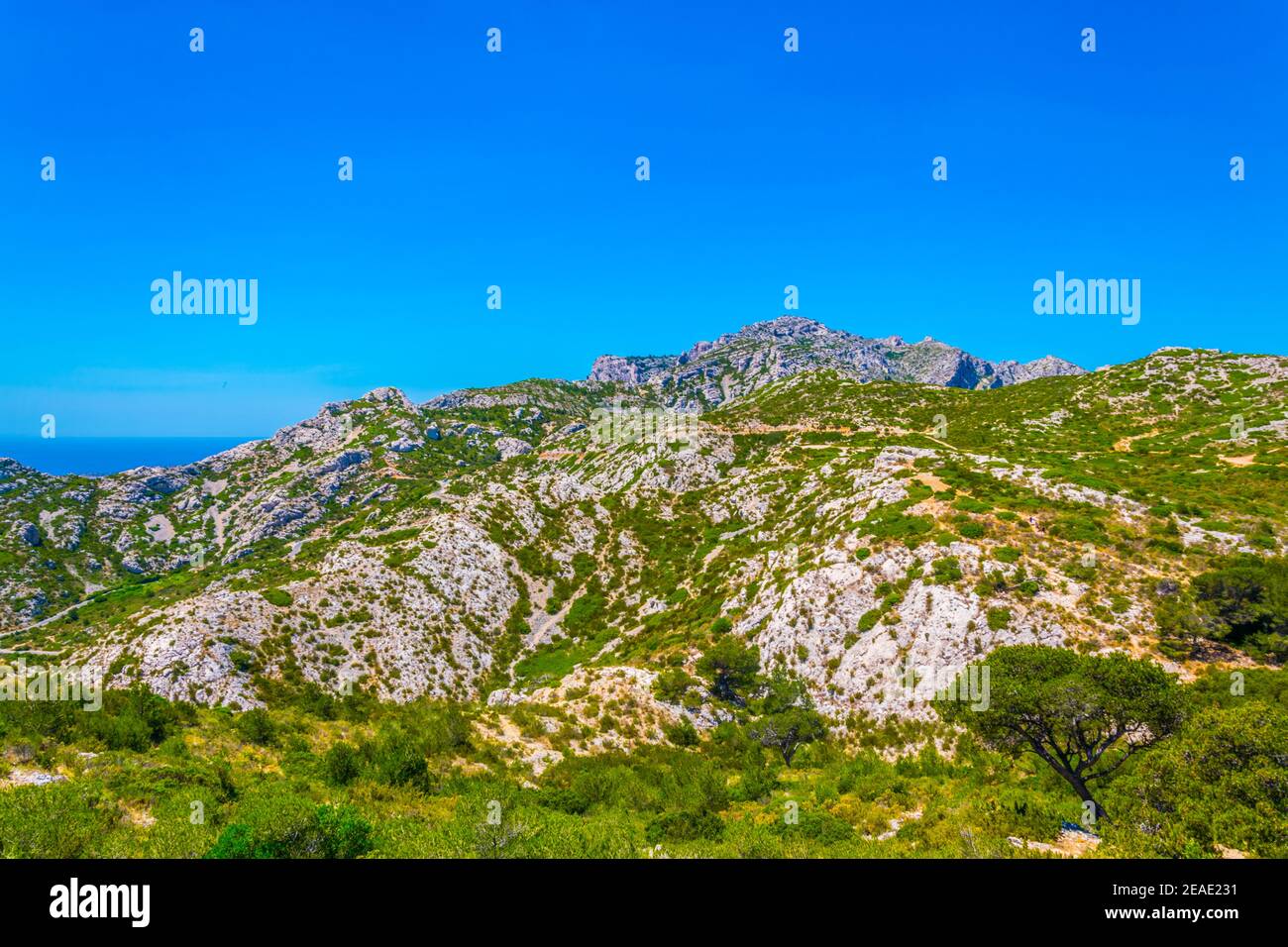 Les Calanques national park in France Stock Photo - Alamy