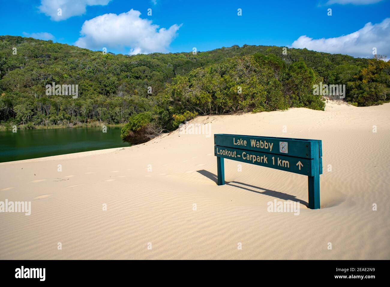 Lake Wabby and The Hammerstone Sandblow on Fraser Island Stock Photo ...