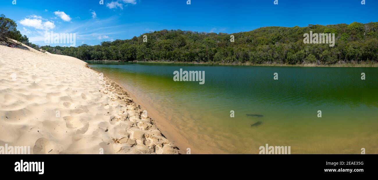 Lake Wabby on Great Sandy National Park Queensland Australia Stock ...