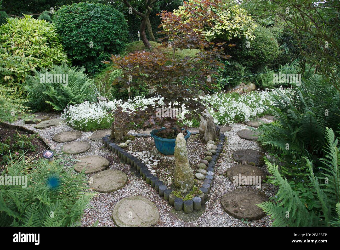 Circular paving stones hi-res stock photography and images - Alamy