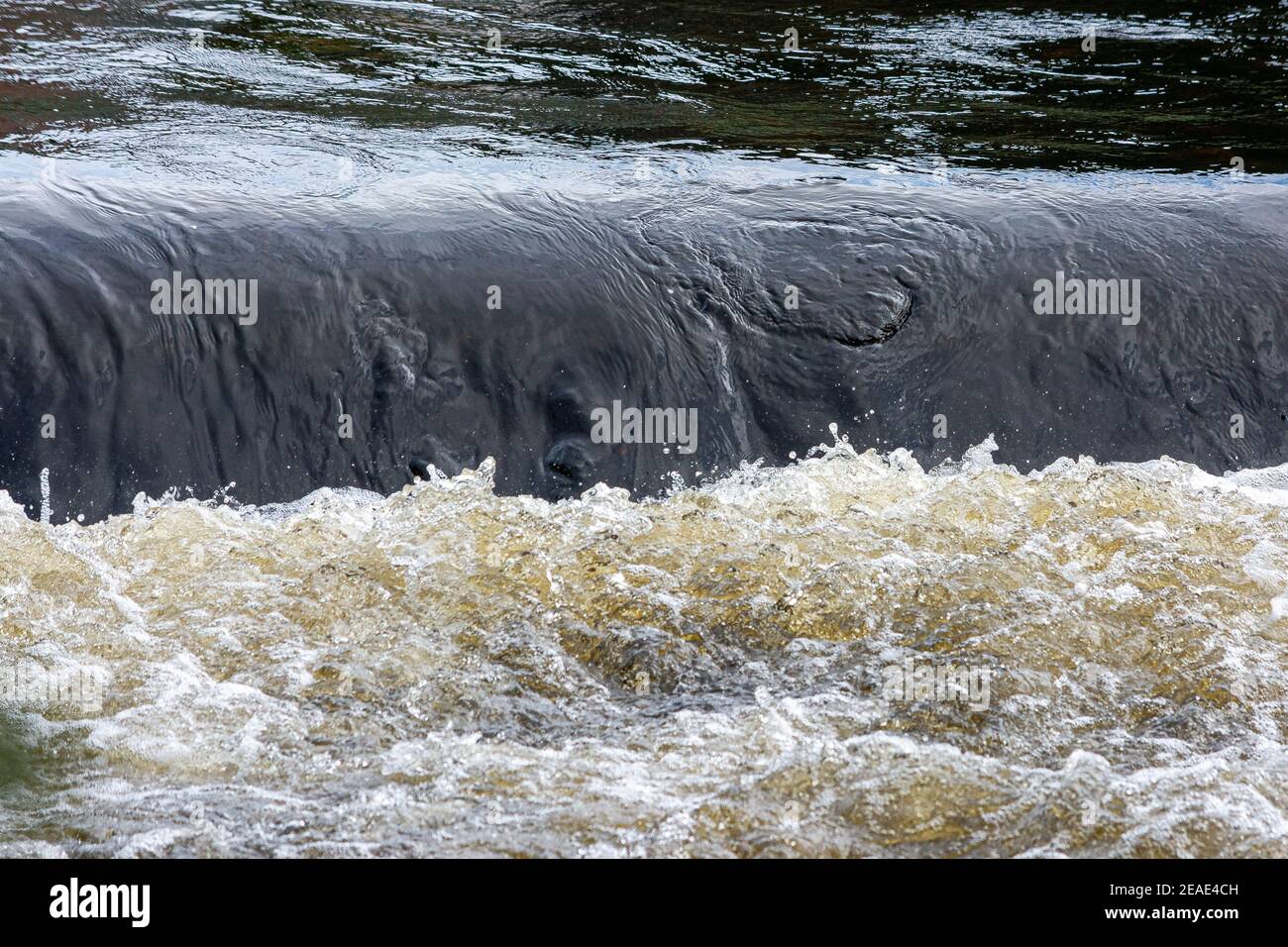 Ness Islands, Inverness, Scotland, United Kingdom Stock Photo - Alamy