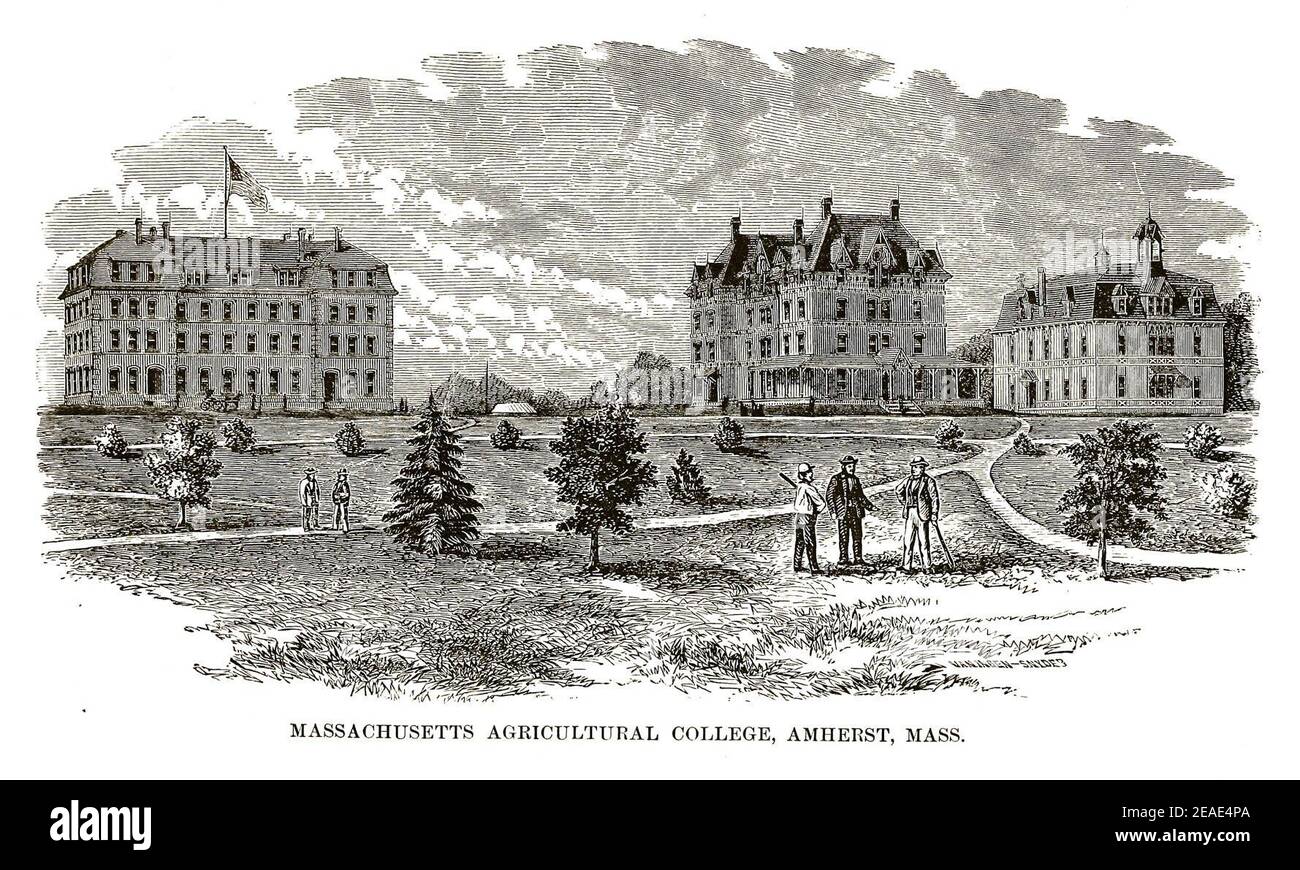 Massachusetts Agricultural College Stock Photo - Alamy