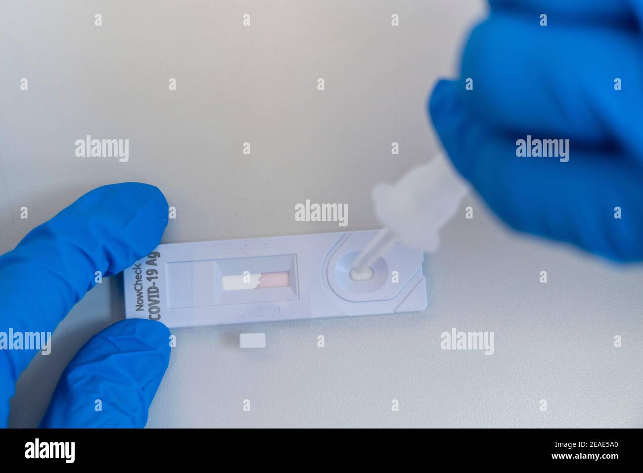 Bionote nowcheck covid 19 antigen rapid test hi-res stock photography ...