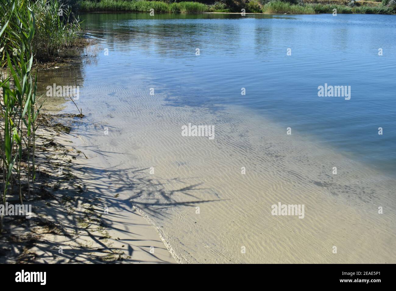 Beach on the lake Stock Photo - Alamy