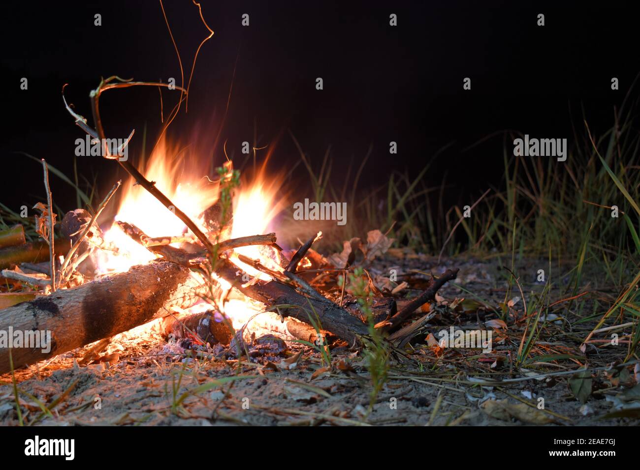 Campfire at night Stock Photo - Alamy