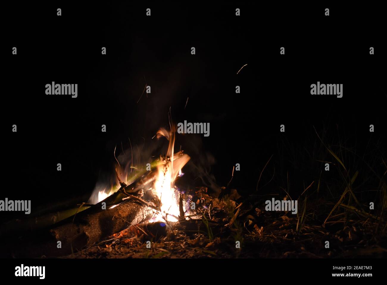 Campfire at night Stock Photo - Alamy