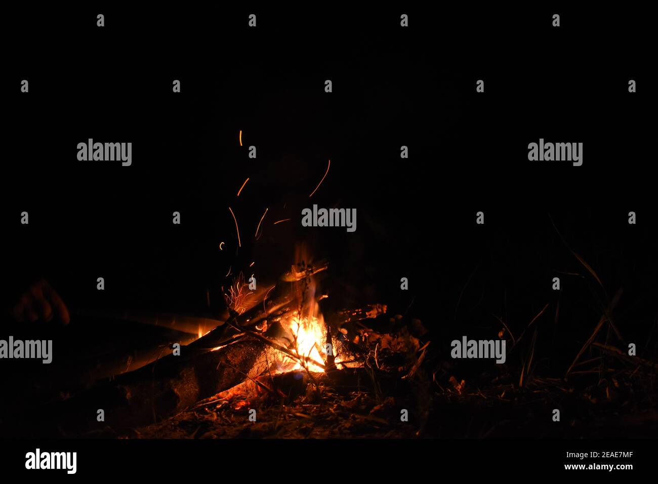 Campfire at night Stock Photo - Alamy