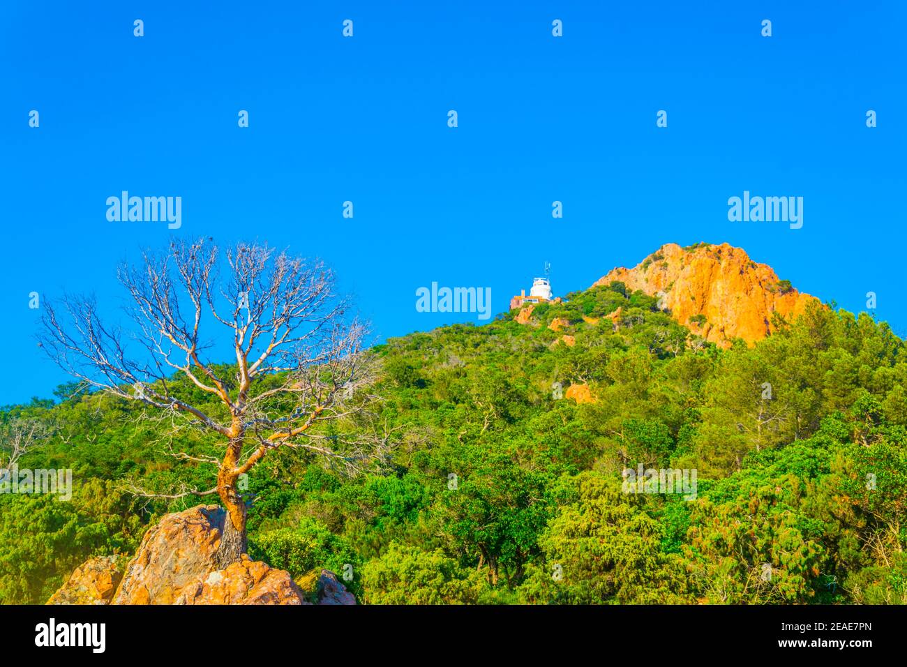 Cap du Dramont in France Stock Photo - Alamy