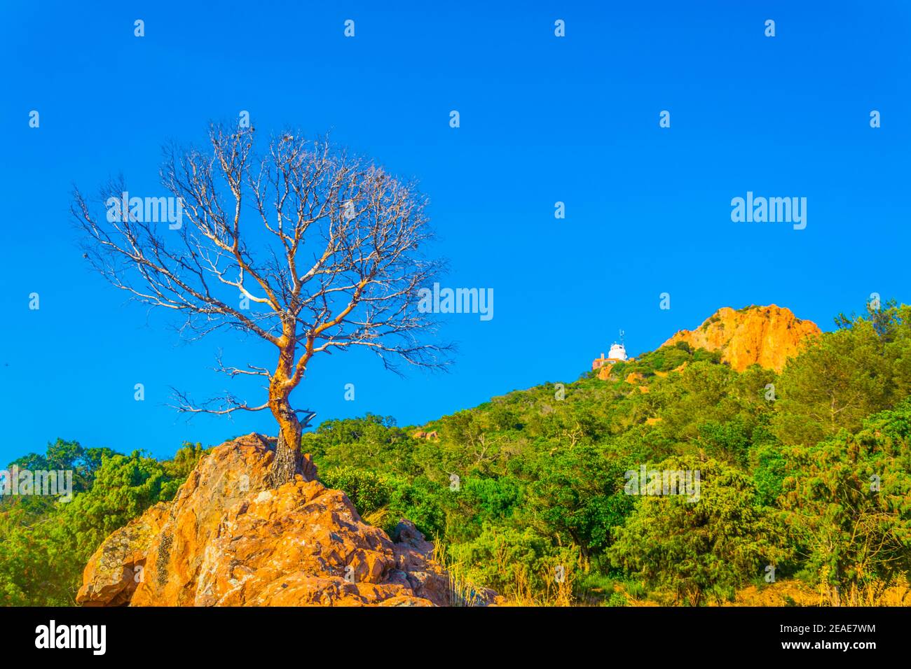 Cap du Dramont in France Stock Photo - Alamy