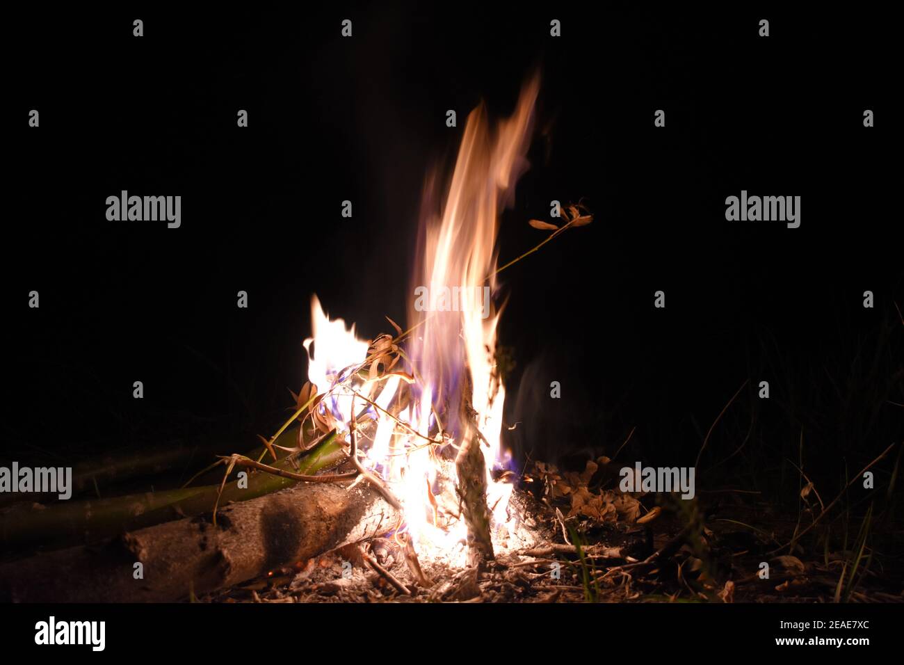 Campfire at night Stock Photo - Alamy