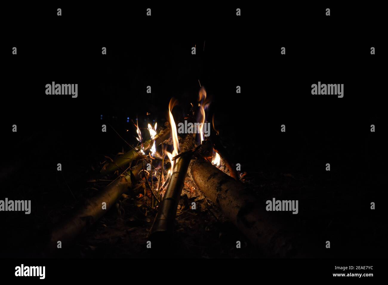 Campfire at night Stock Photo - Alamy