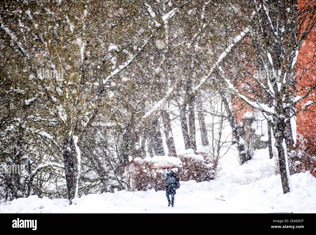 Red umbrella winter snow hi-res stock photography and images - Alamy