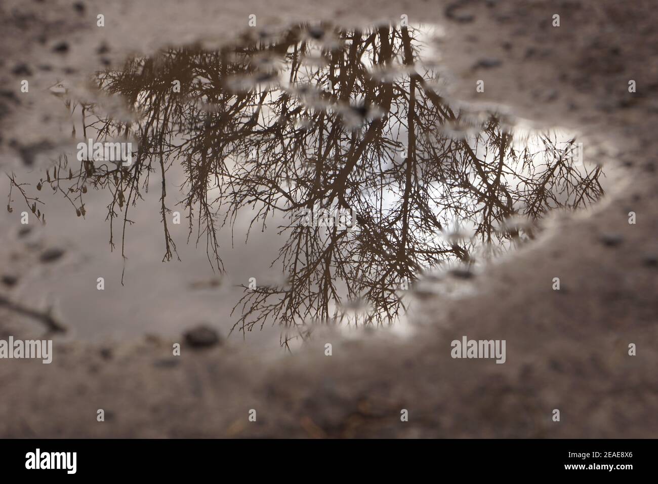 Light reflection in a puddle Stock Photo - Alamy