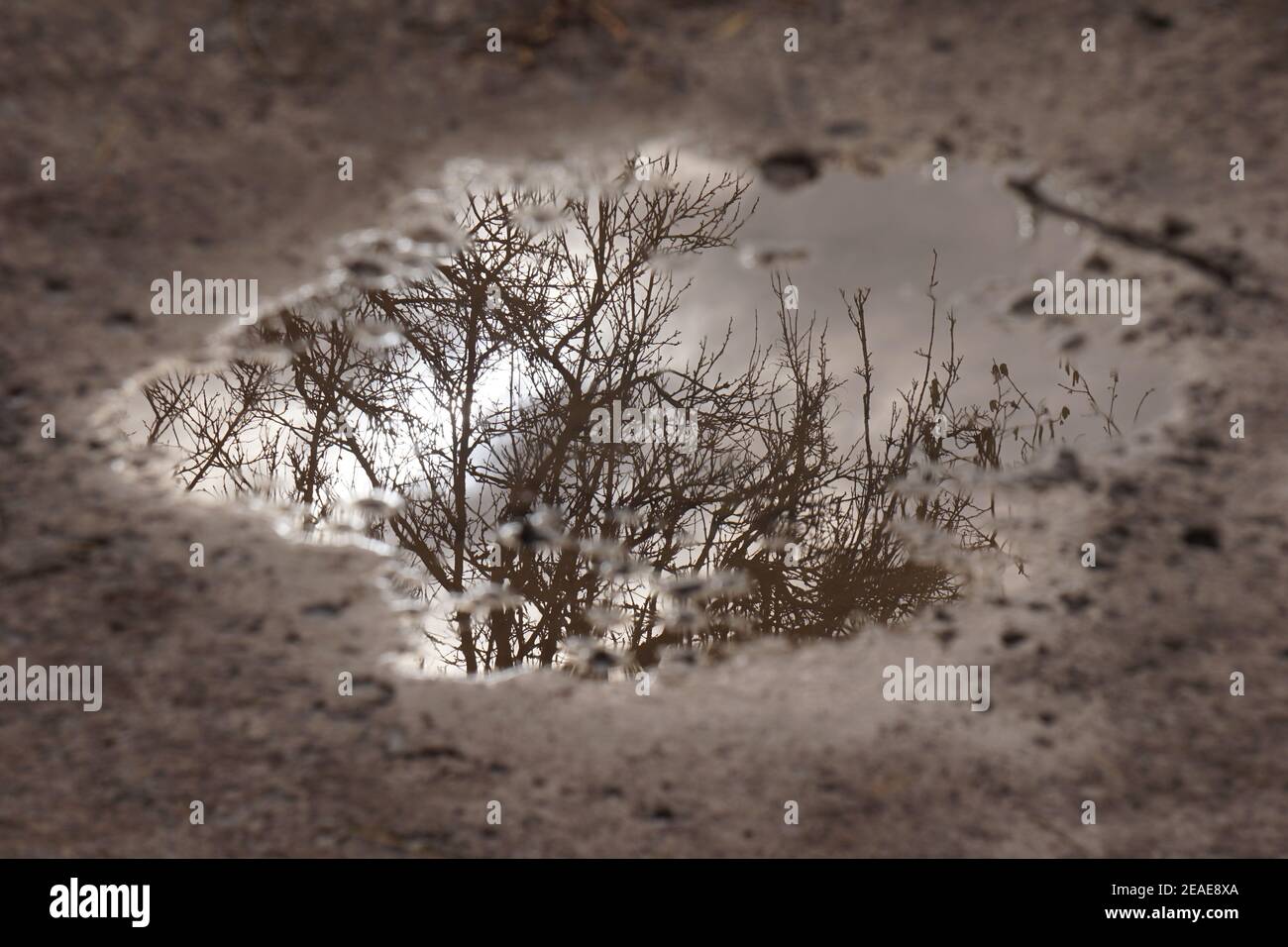 Light reflection in a puddle Stock Photo - Alamy