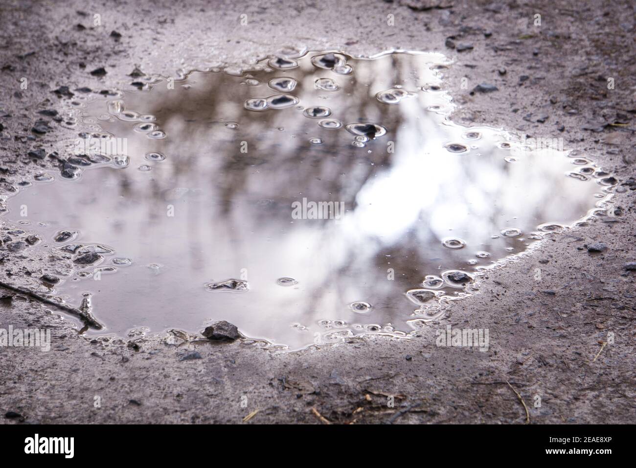 Light reflection in a puddle Stock Photo - Alamy