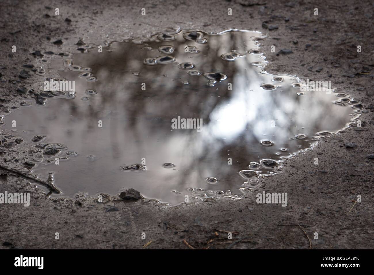Mud puddle reflection night hi-res stock photography and images - Alamy