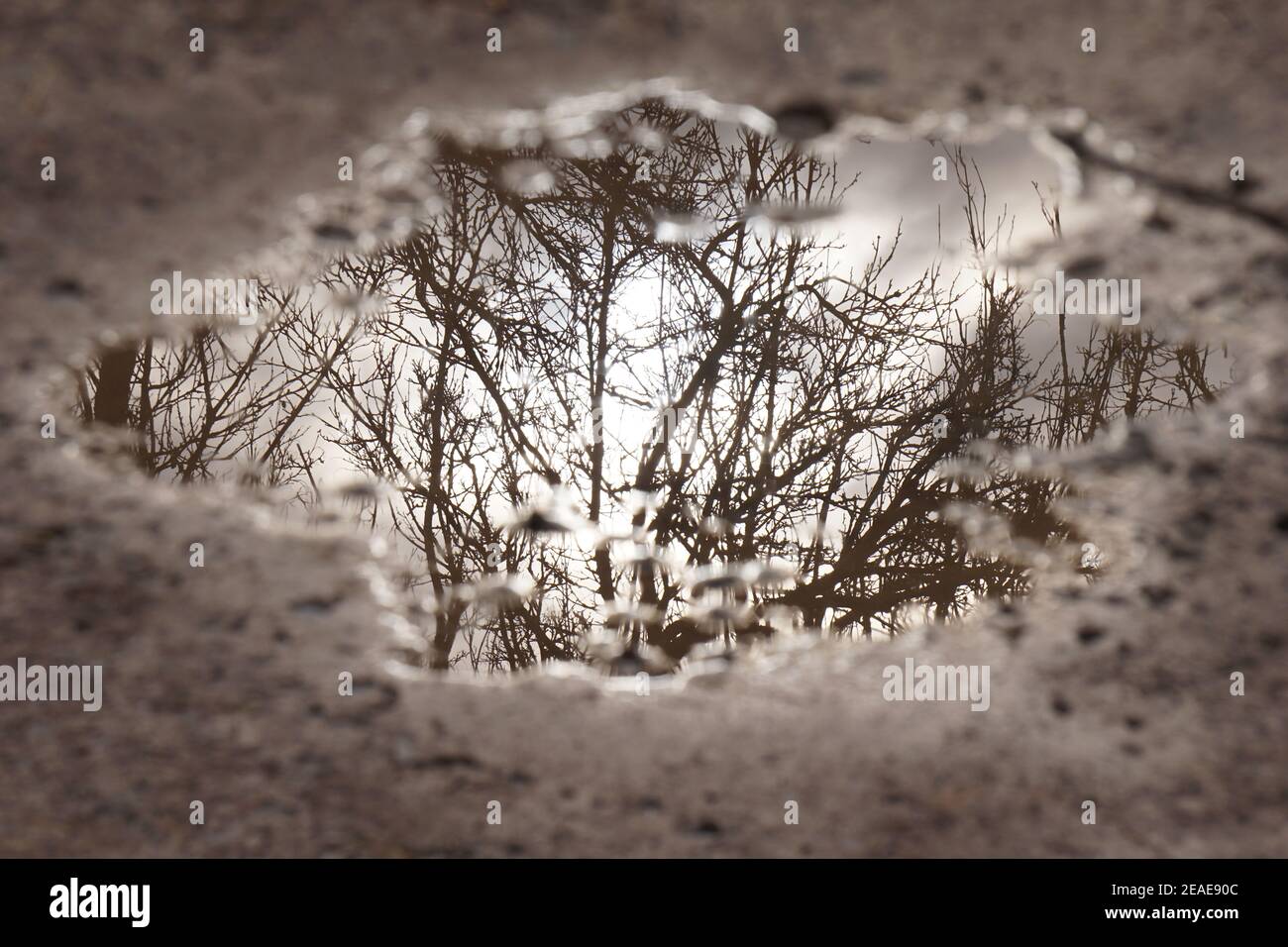 Light reflection in a puddle Stock Photo - Alamy