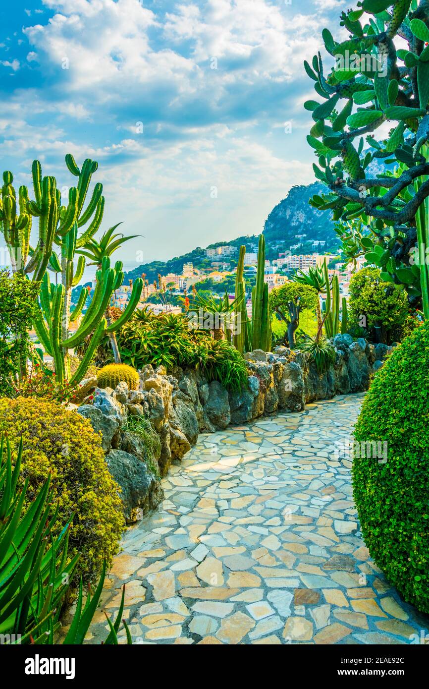 Cactus garden monaco monte carlo hi-res stock photography and images ...