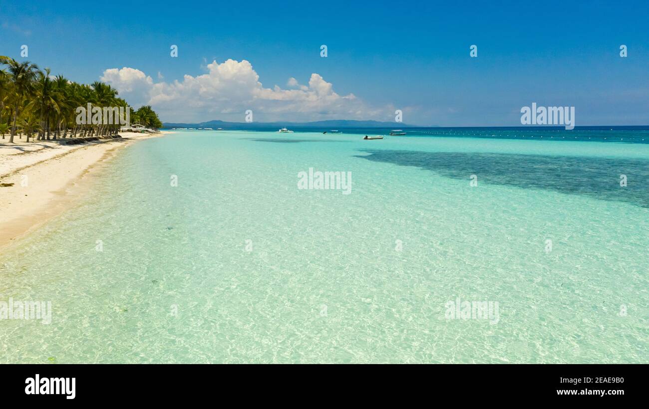 Beautiful tropical beach with white sand and turquoise ocean. Panglao ...