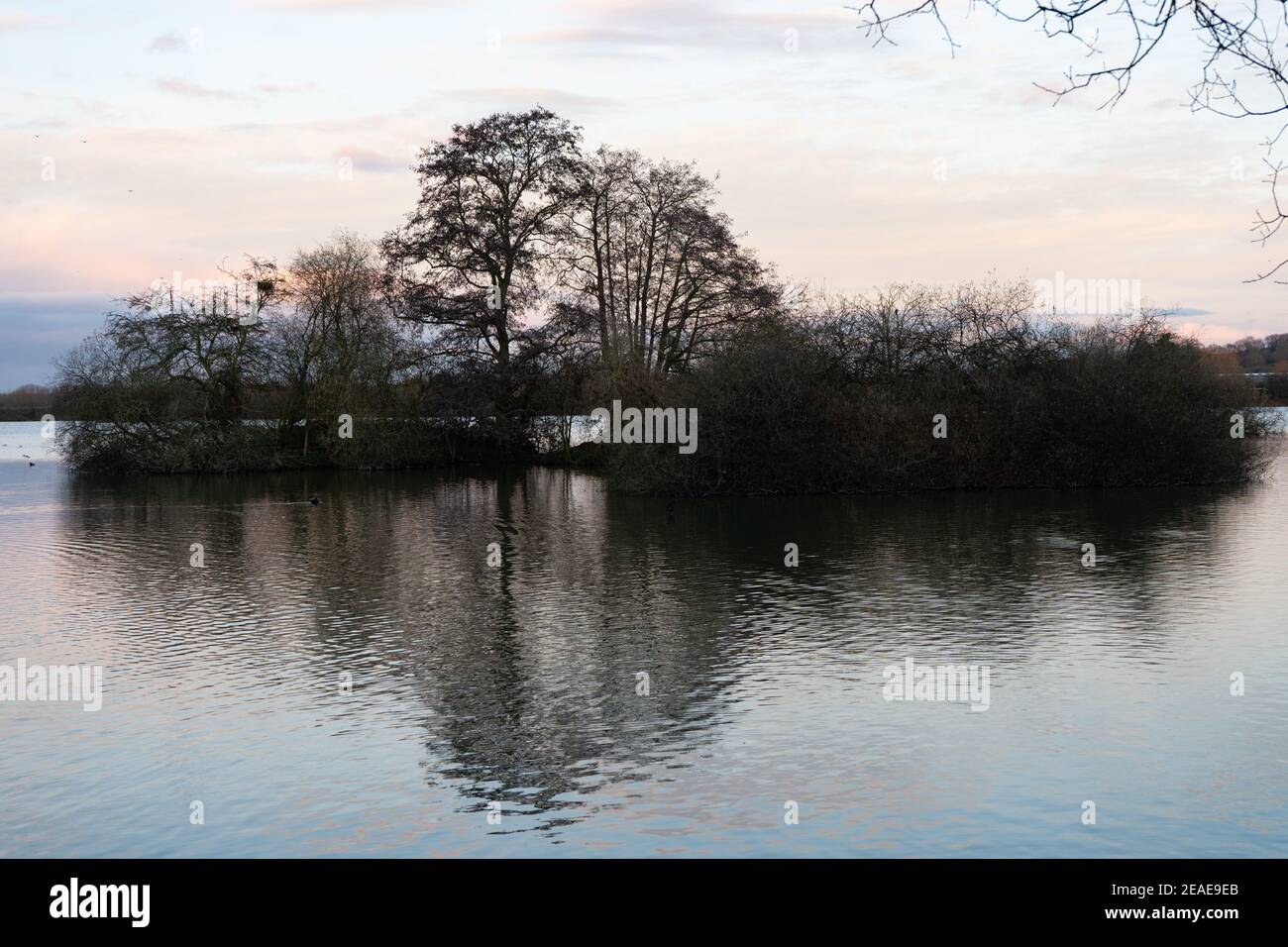 Uk fishing lake hi-res stock photography and images - Alamy