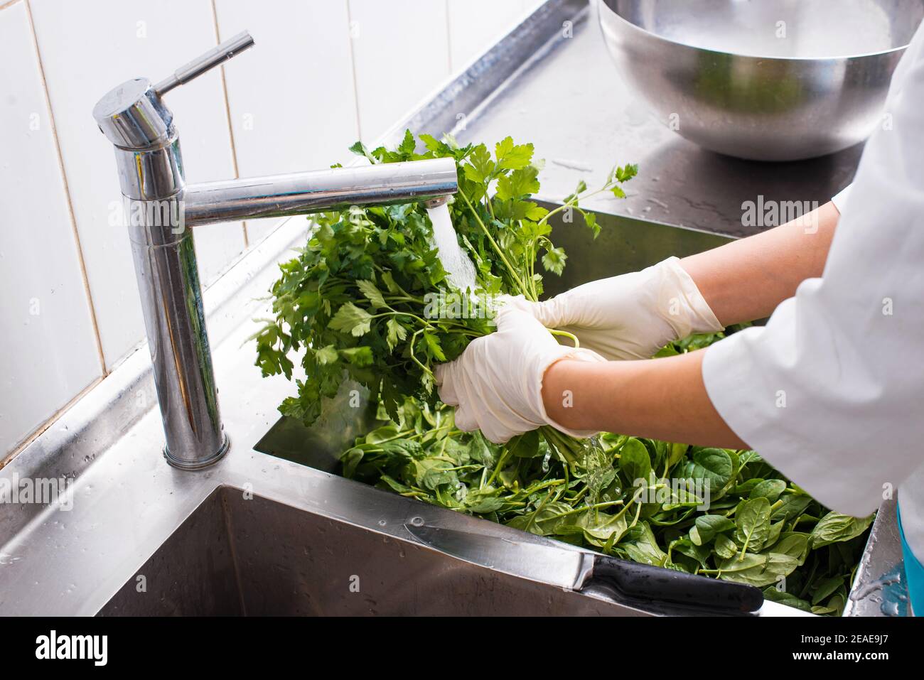 Washing cilantro hi-res stock photography and images - Alamy
