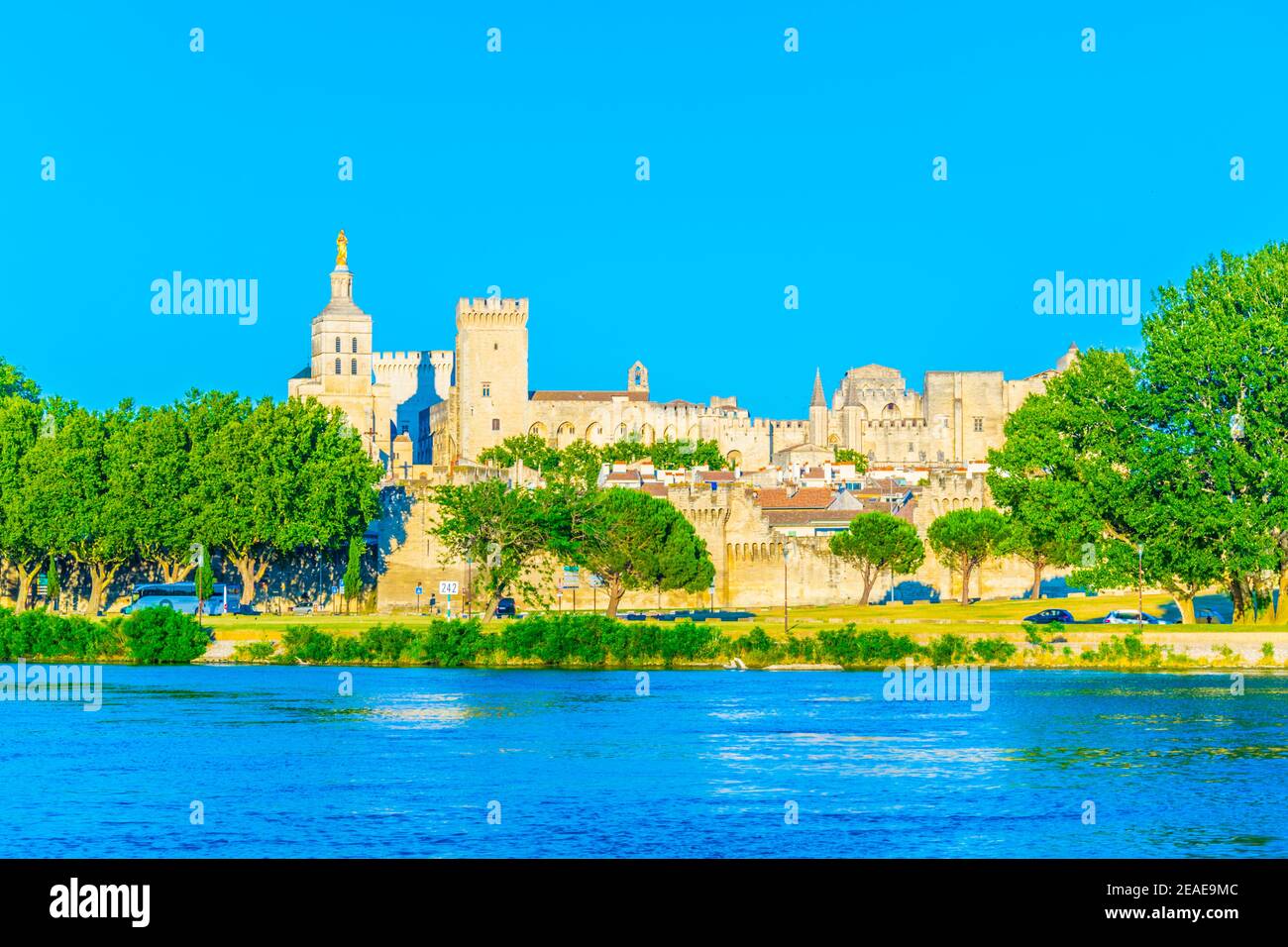 Cityscape of Avignon with Palais des Papes and Cathedral of Our Lady ...