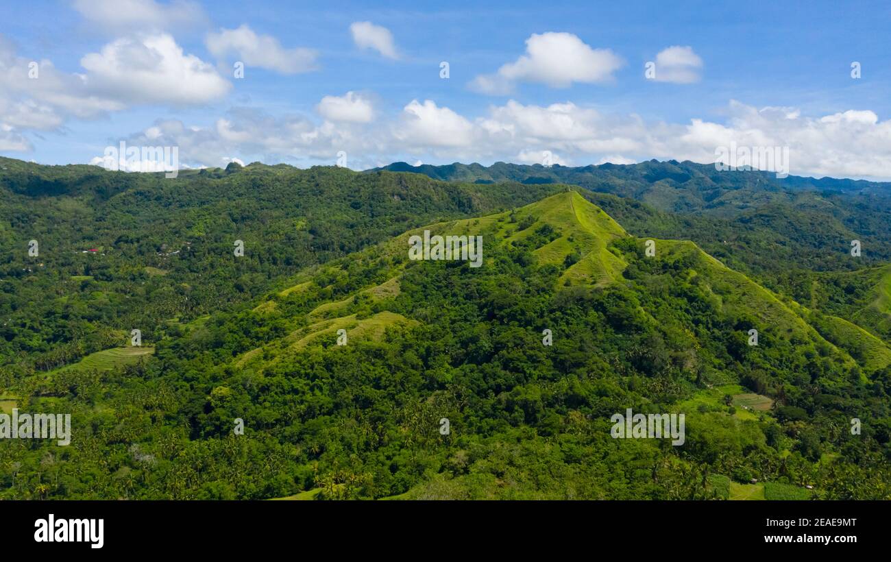 Bohol Landscape High Resolution Stock Photography and Images - Alamy