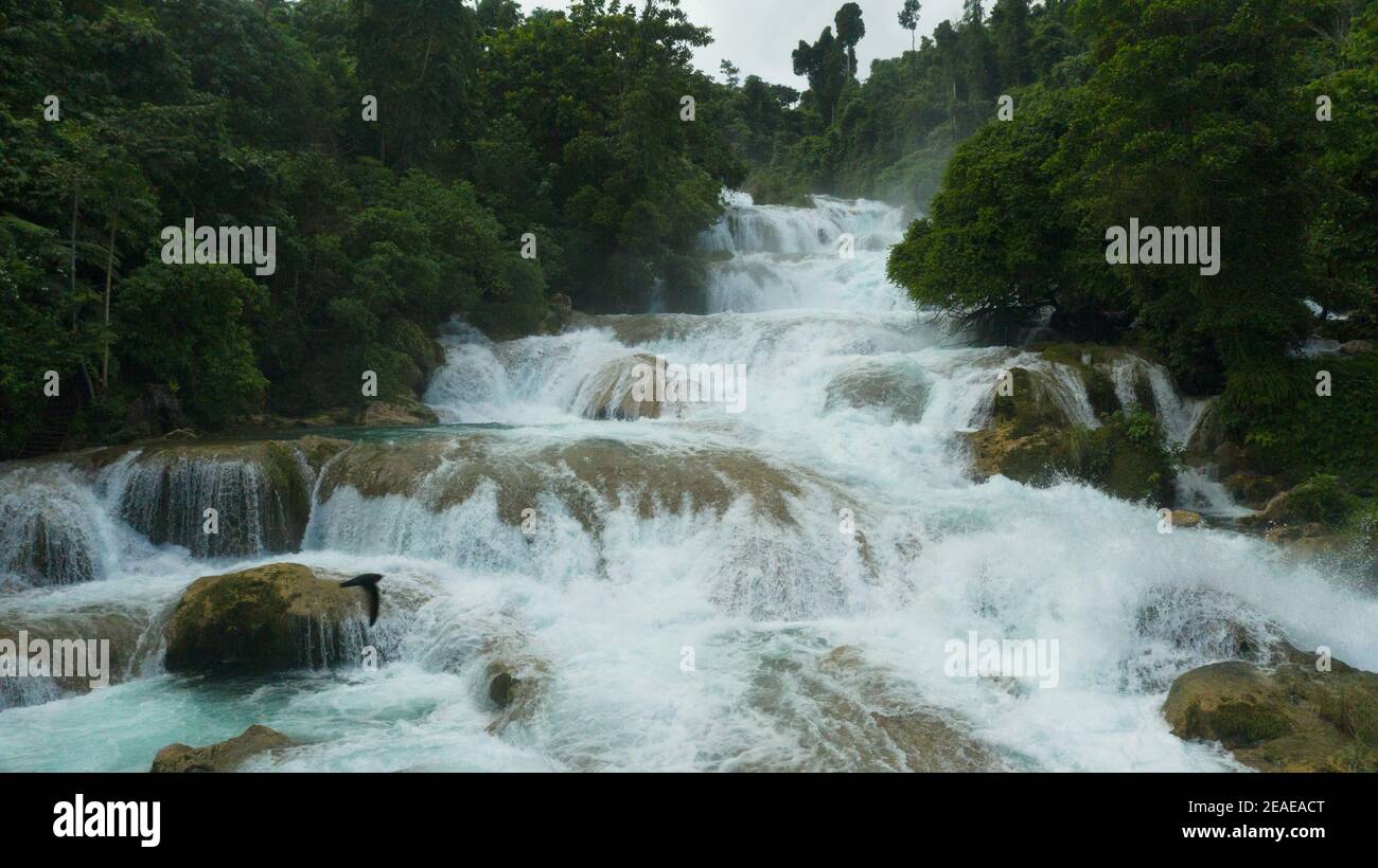 Beautiful waterfall in green forest, top view. Tropical Tinuy-an Falls ...