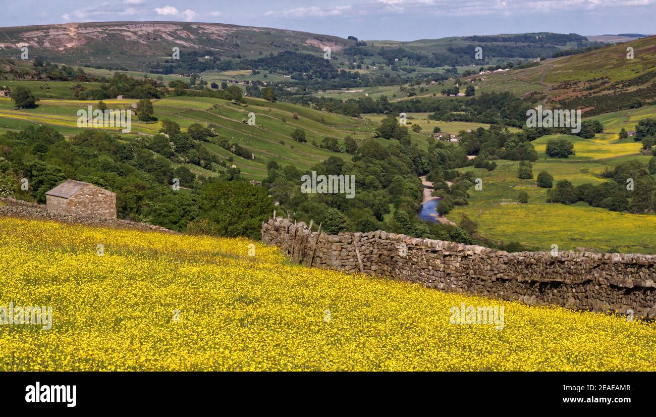 Panoramic view of Swaledale, over the village of Low Row, Yorkshire ...