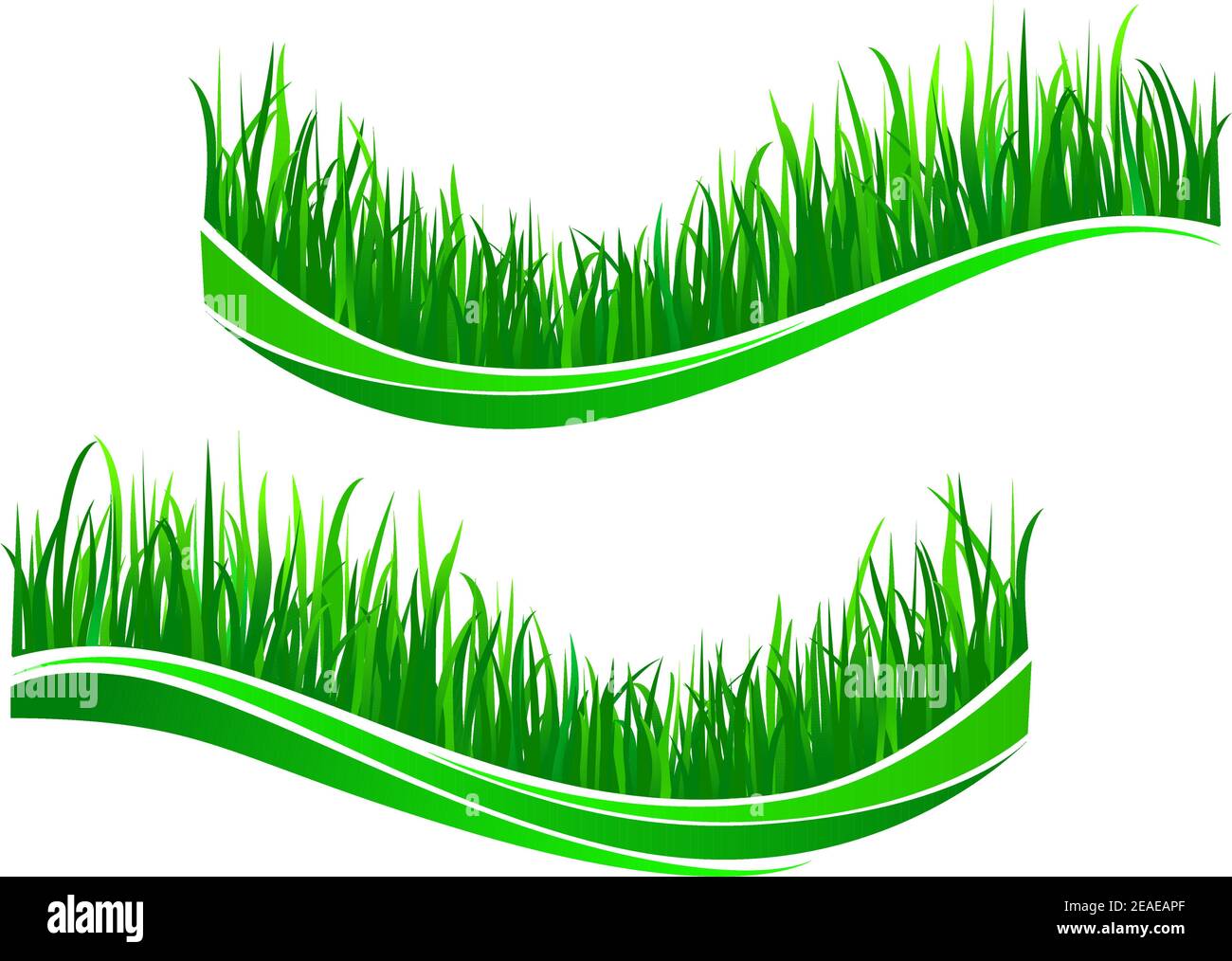 Green grass waves isolated on white background Stock Vector Image & Art ...