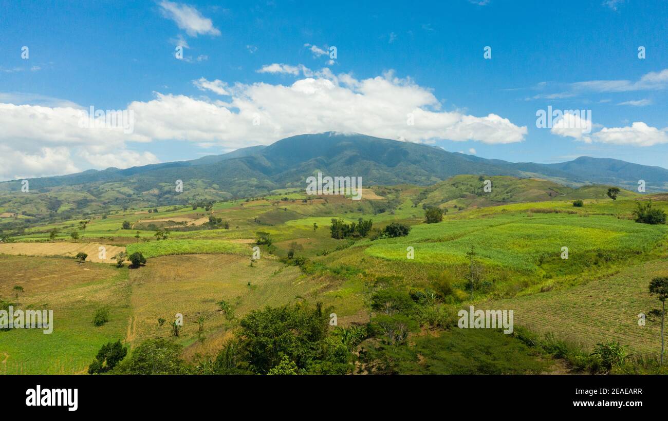 Farm and agricultural land with crops in the mountainous area of the ...