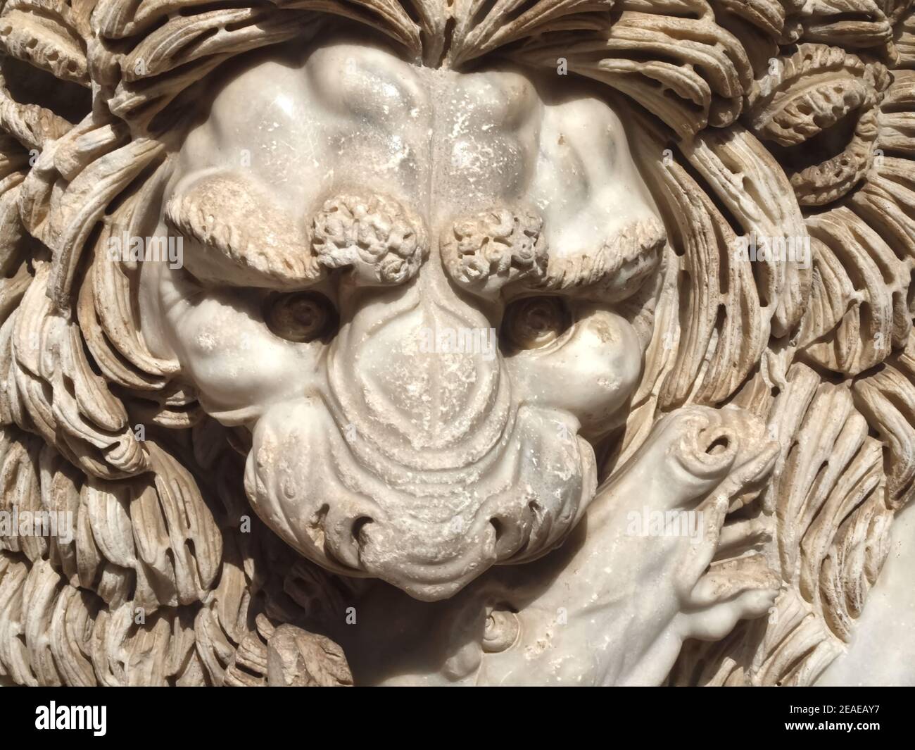 Lion sculpture inside the Vatican museums in Rome Stock Photo - Alamy
