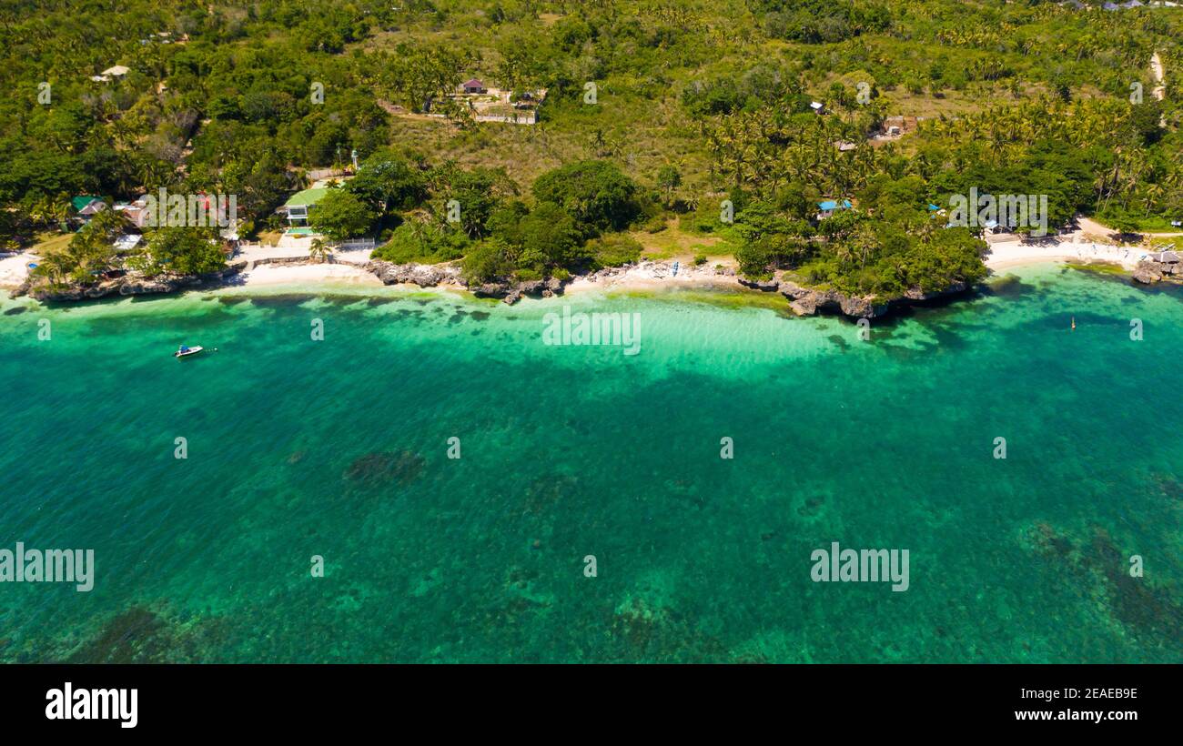Aerial top view on sand beach,palm tree and ocean. Sandy beach and ...